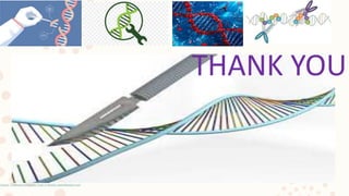 Tools of genetic engineering | PPTX