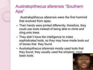 Tools of hominids | PPT