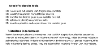 TOOLS OF RECOMBINANT DNA TECHNOLOGY.pptx