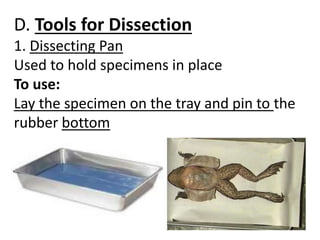 Tools_of_the_Biologist.ppt slides presentation | PPTX