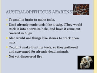 Tools of the early man | PPT