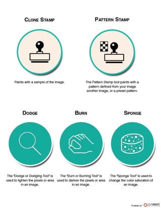 Tools panel overview Of Photoshop | PDF