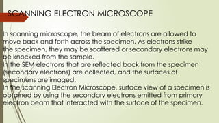 TOOLS & TECHNIQUES Electron microscopy : SEM & TEM | PPTX