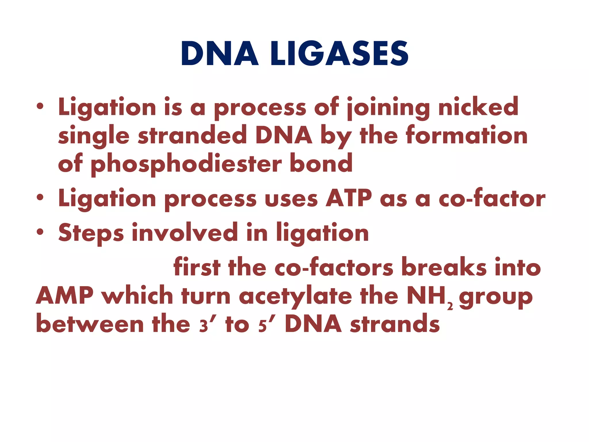 Tools used in genetic engineering | PPTX
