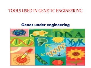 Tools used in genetic engineering | PPTX