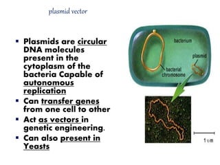 Tools used in genetic engineering | PPTX