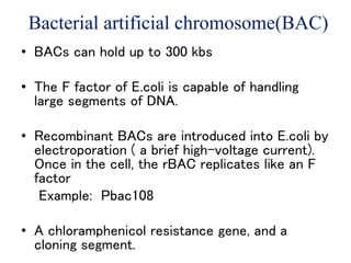 Tools used in genetic engineering | PPTX