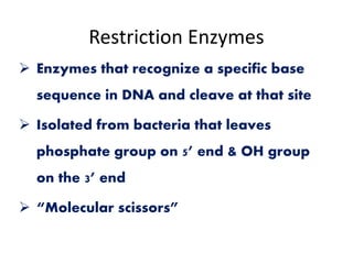 Tools used in genetic engineering | PPTX