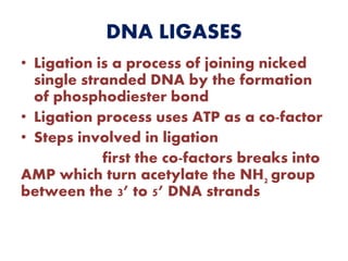 Tools used in genetic engineering | PPTX