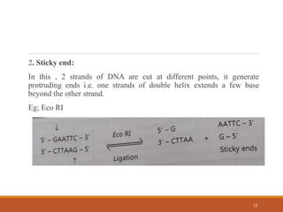Tools used in genetic engineering_ biotechnology | PPTX