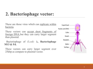 Tools used in genetic engineering_ biotechnology | PPTX