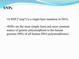 Tools used in molecular biology | PPT