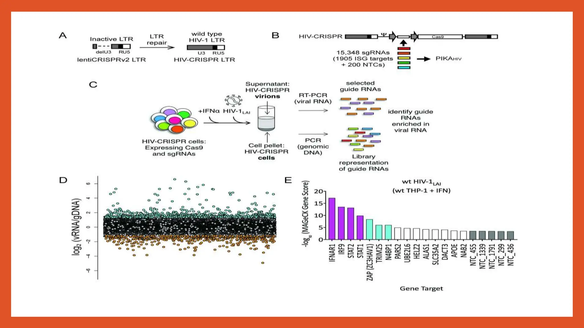 Tools that are used in field of Virology | PPTX