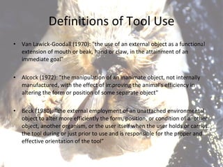 Animal Tool Use Presentation | PPT