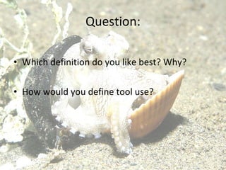 Animal Tool Use Presentation | PPT