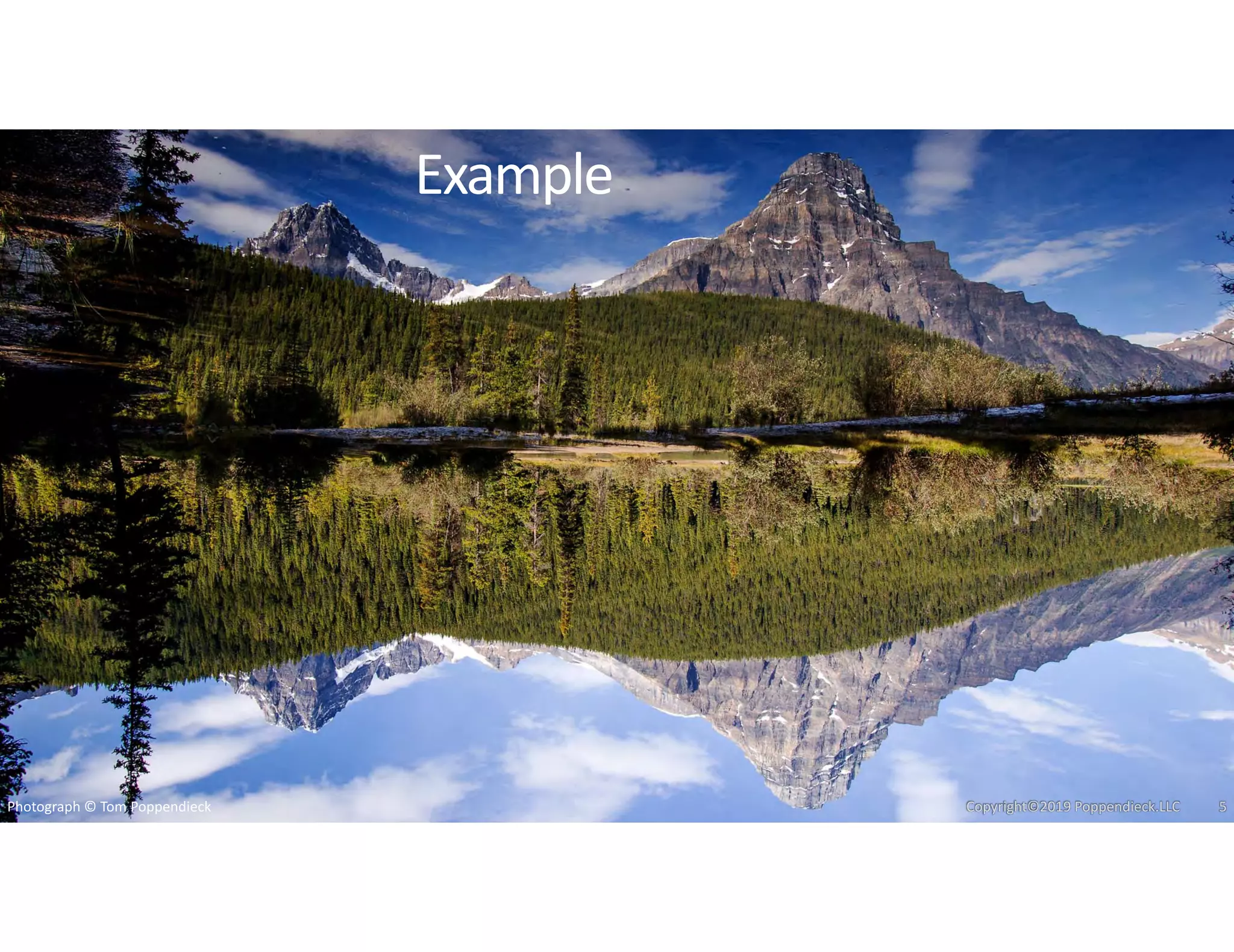 Too Many Metrics | PPT