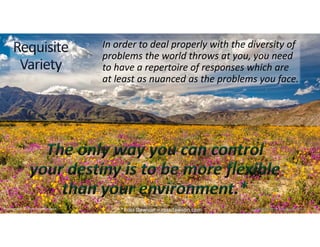 Too Many Metrics | PPT