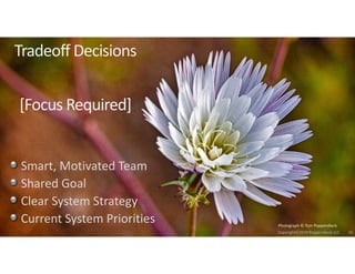 Too Many Metrics | PPT