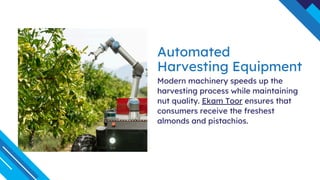 Toor Farming 5 Modern Technologies Revolutionizing Nut Farming | PDF