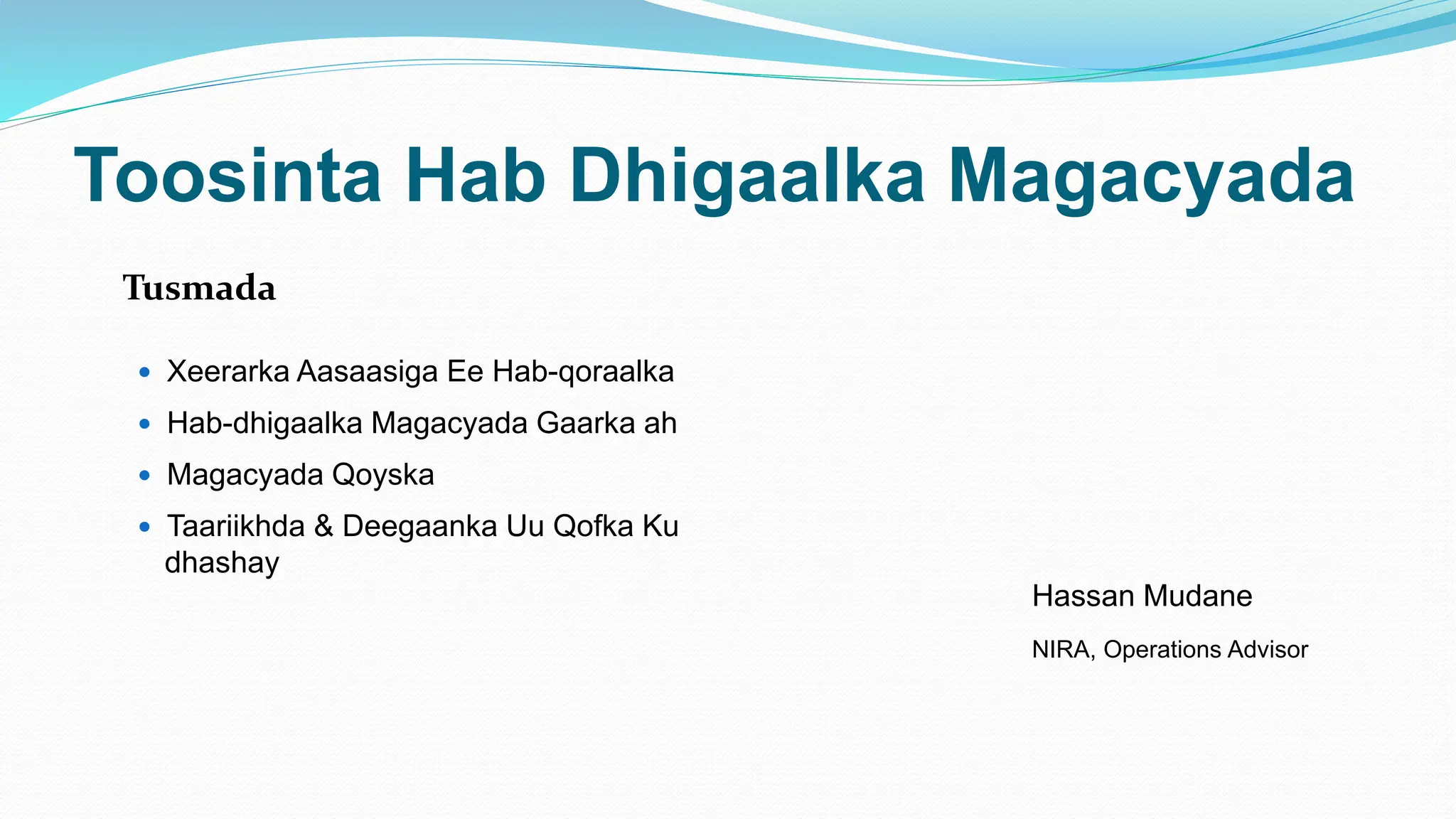 Toosinta Hab Dhigaalka Magacyada.pptx