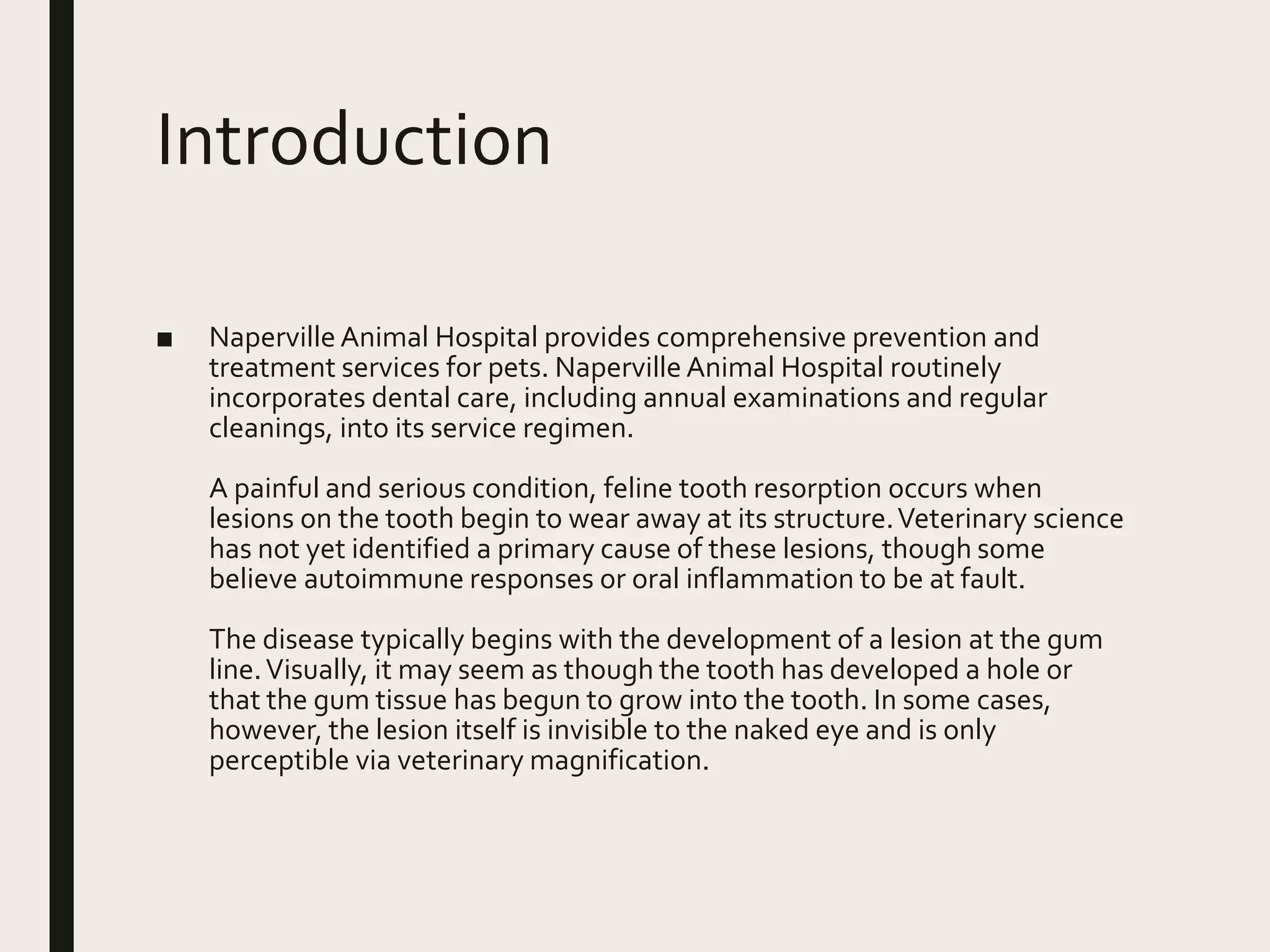 Tooth Resorption in Cats | PPT