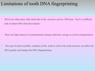 TOOTH- A UNIQUE SOURCE OF DNA IN FORENSIC ODONTOLOGY.pptx