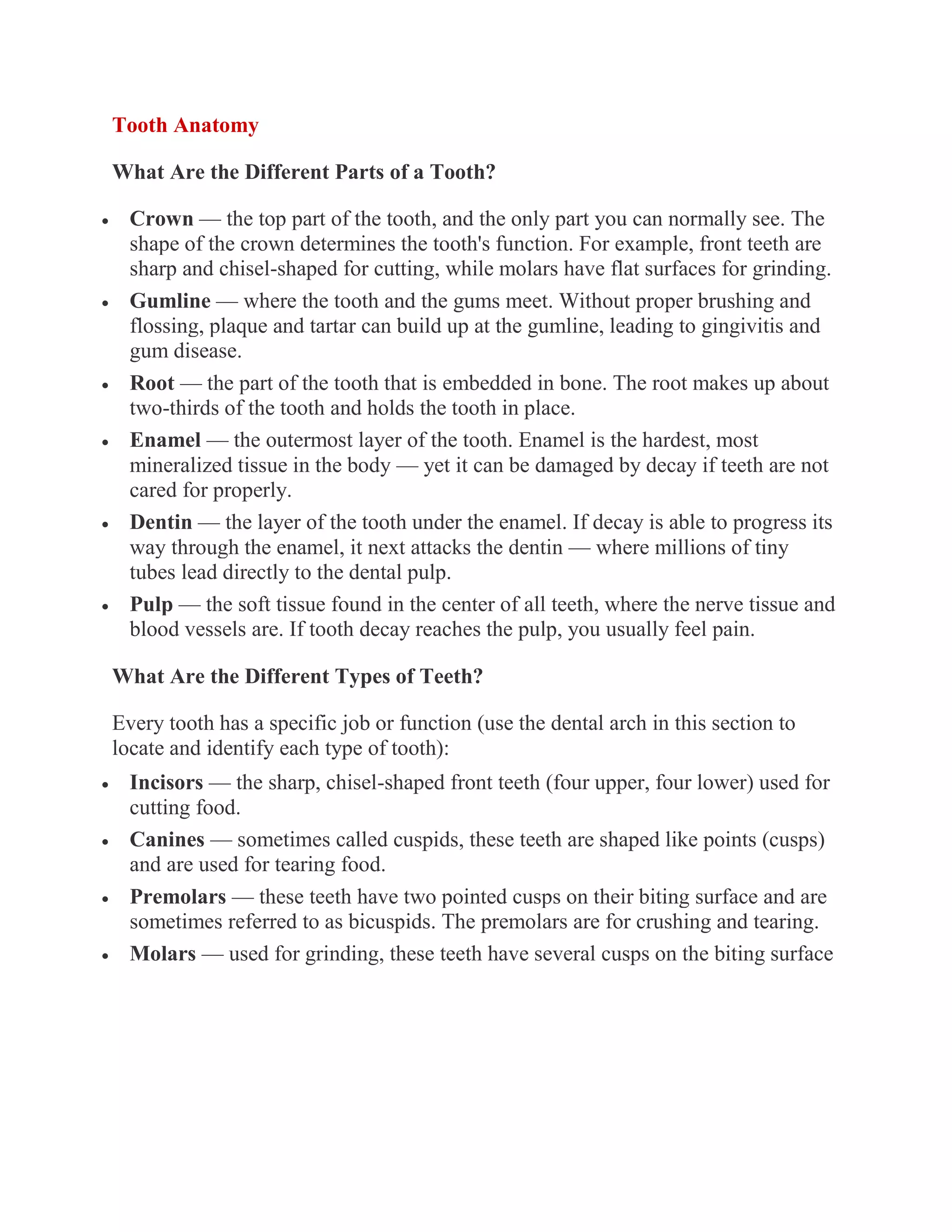 Tooth anatomy 1 | DOCX