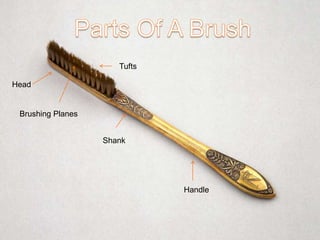 Tooth brush and brushing techniques | PPTX