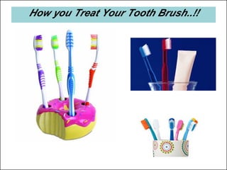 toothbrushes.pdf