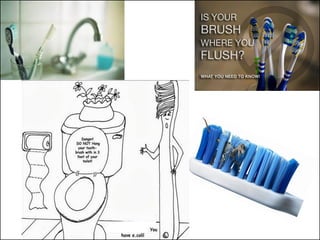 toothbrushes.pdf