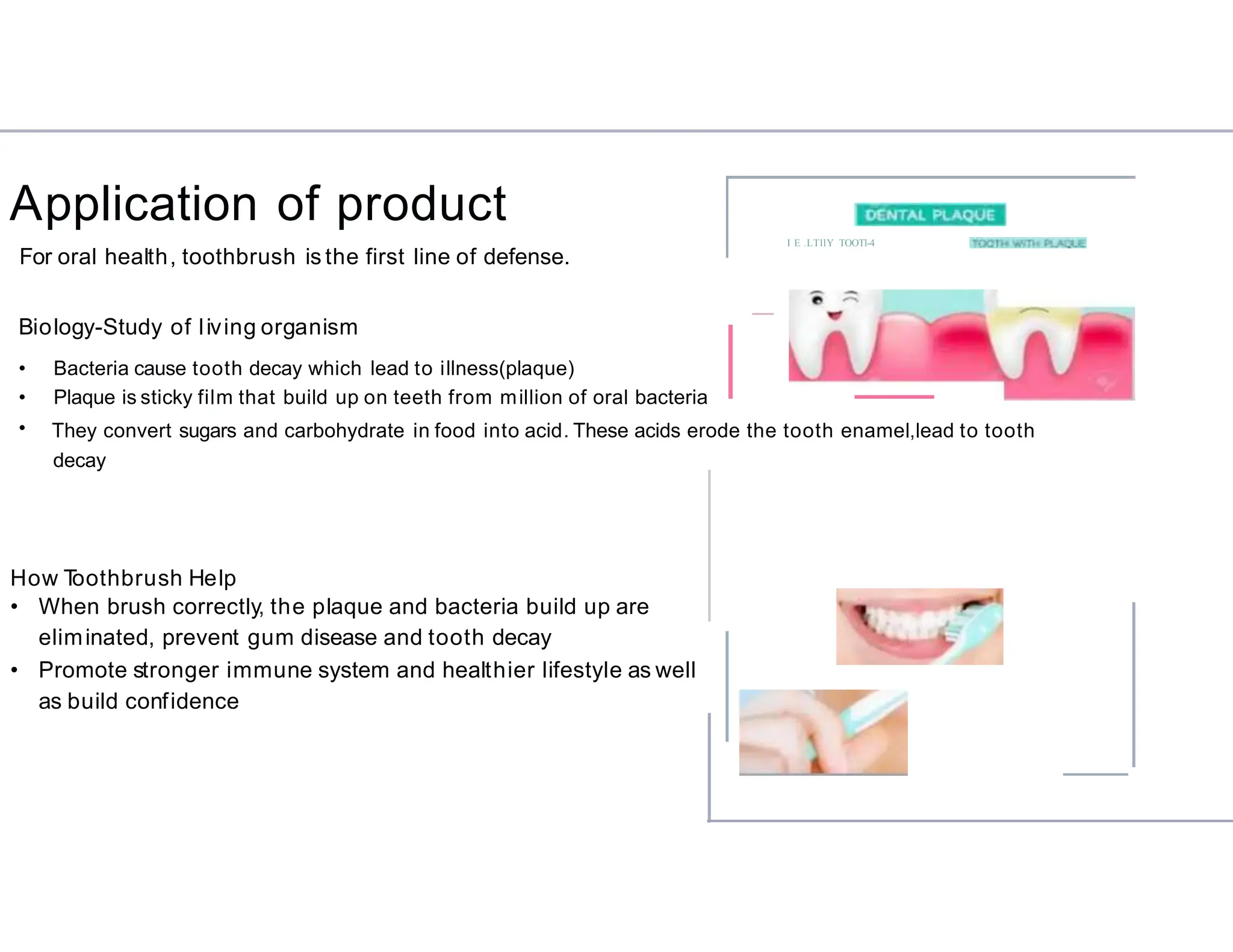 🦷Tooth,_Brush_manufactoring Data☑️.pptx