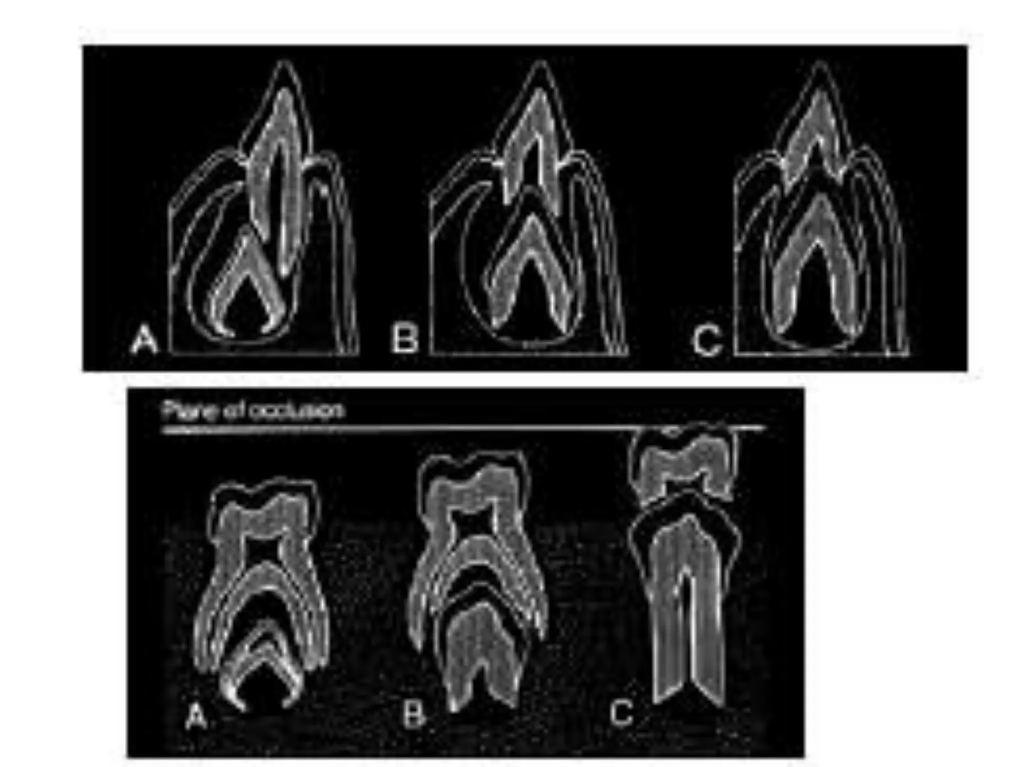 Tooth calcification and eruption.pptx | Oral care | Personal Care