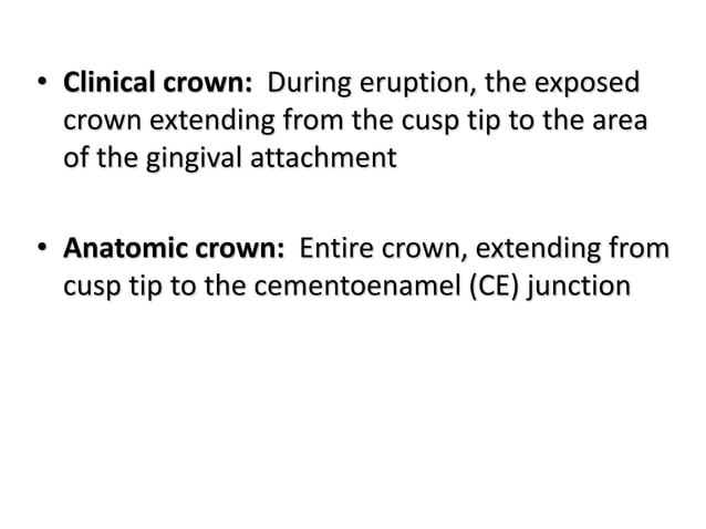 Tooth calcification and eruption.pptx | Oral care | Personal Care
