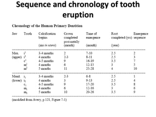 Tooth calcification and eruption.pptx | Oral care | Personal Care