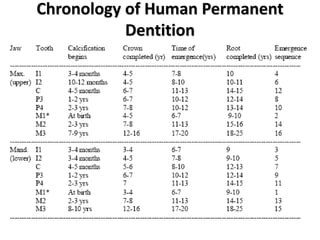 Tooth calcification and eruption.pptx