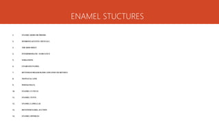 Tooth components. Enamel | PPTX