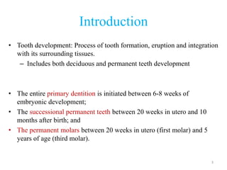 Development of Teeth | PPTX
