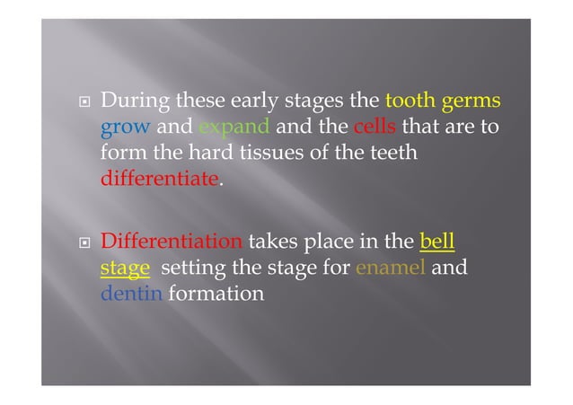 Tooth development | PPT