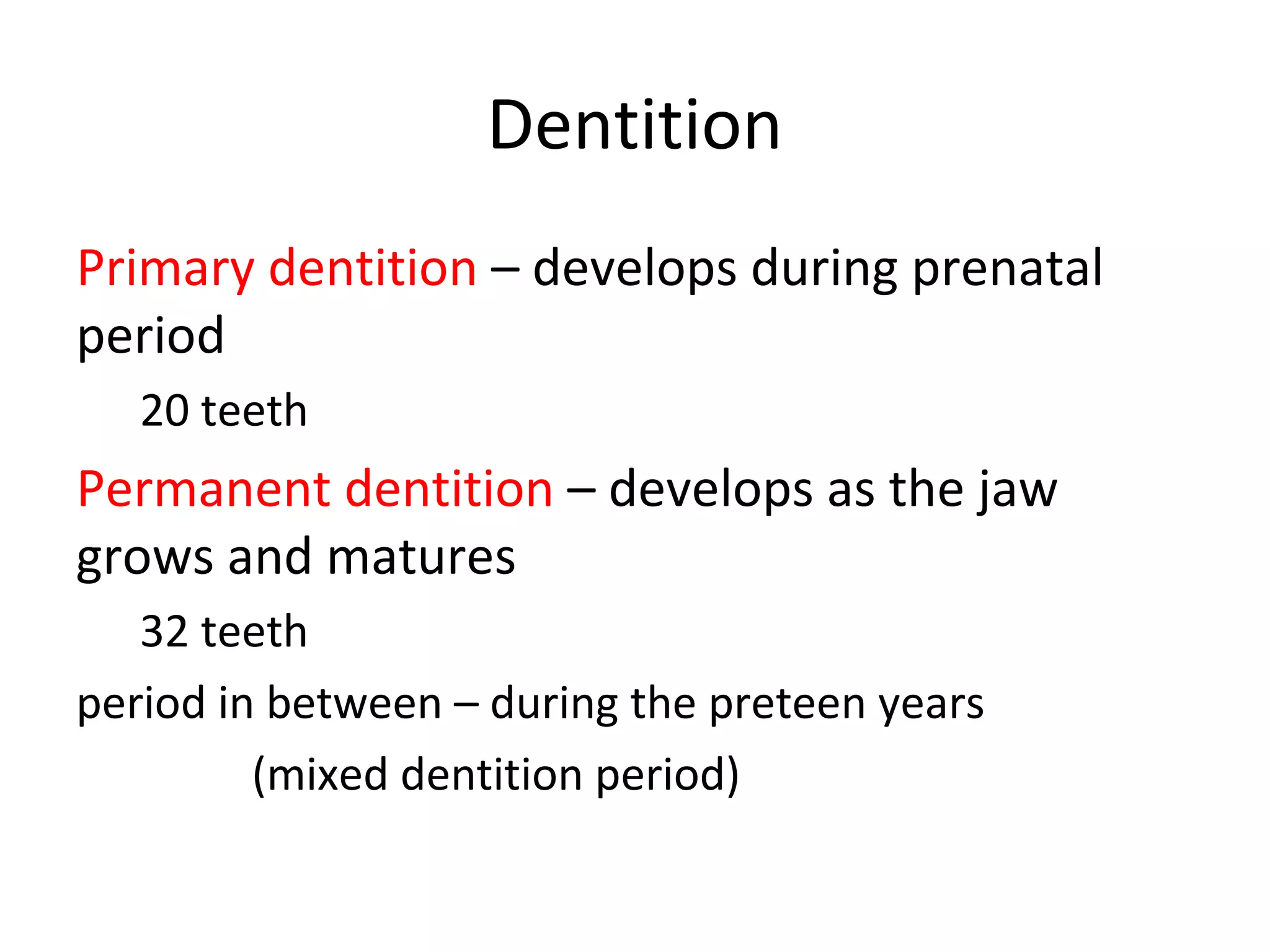 Tooth development for the embryology.. | PPT