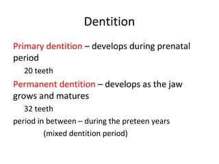 Tooth development for the embryology.. | PPT