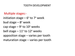 Tooth development for the embryology.. | PPT