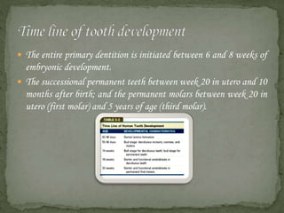 Tooth development | PPTX