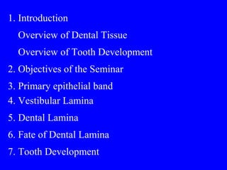 Tooth development | PPT