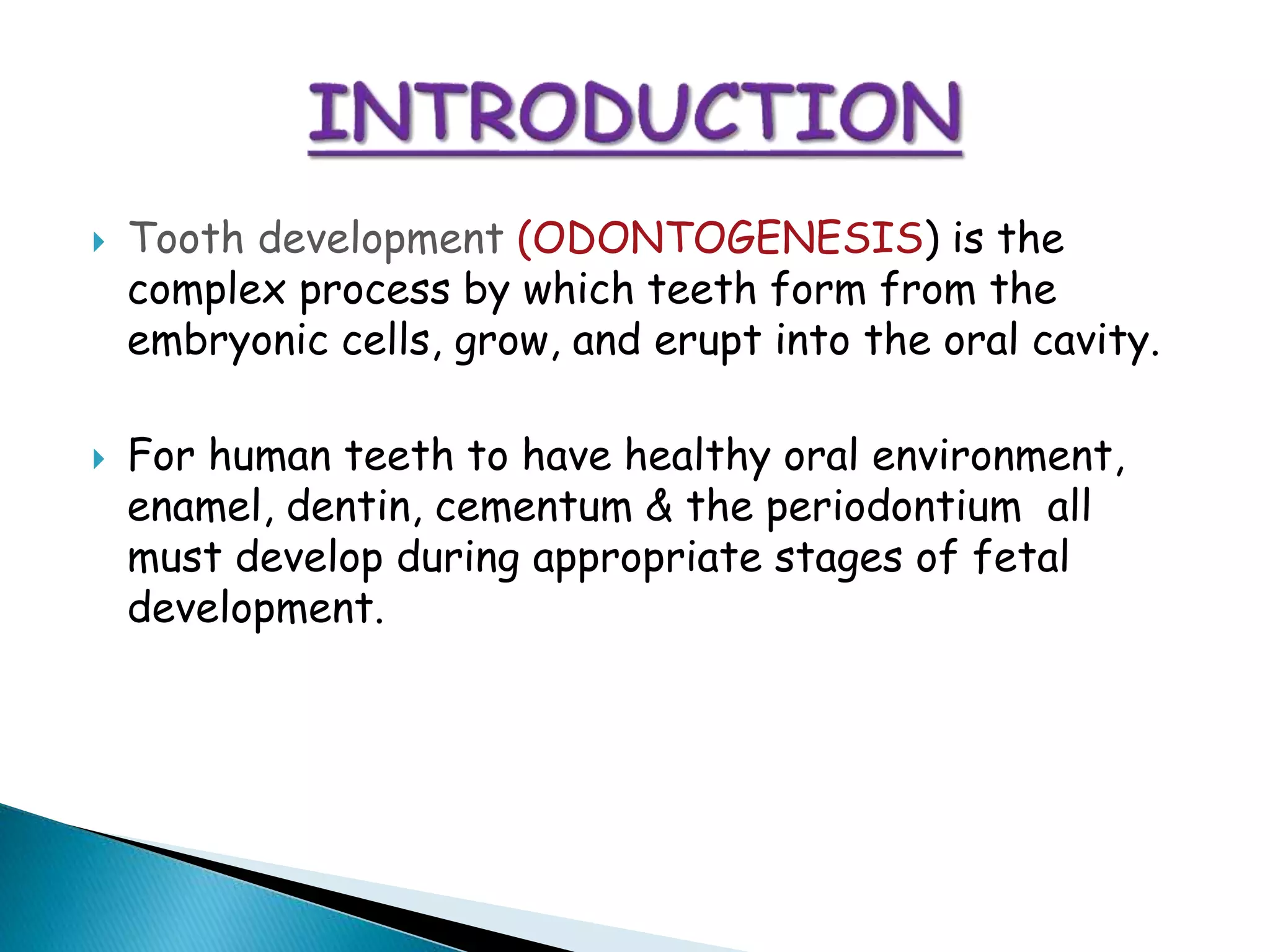 Tooth development | PPTX