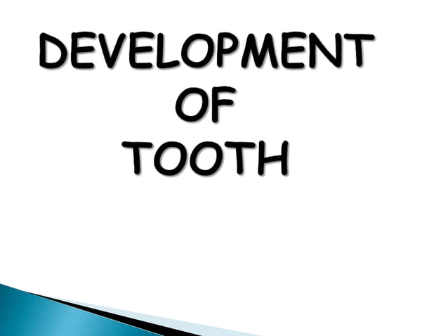 Tooth development | PPTX | Dental Health | Diseases and Conditions