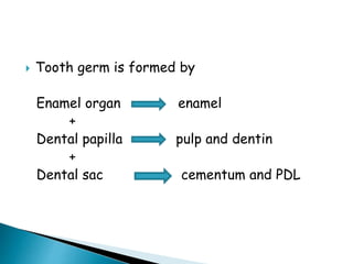 Tooth development | PPTX