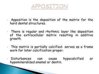 Tooth development | PPTX