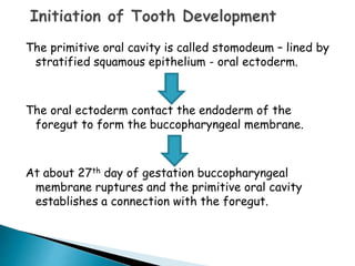 Tooth development | PPTX