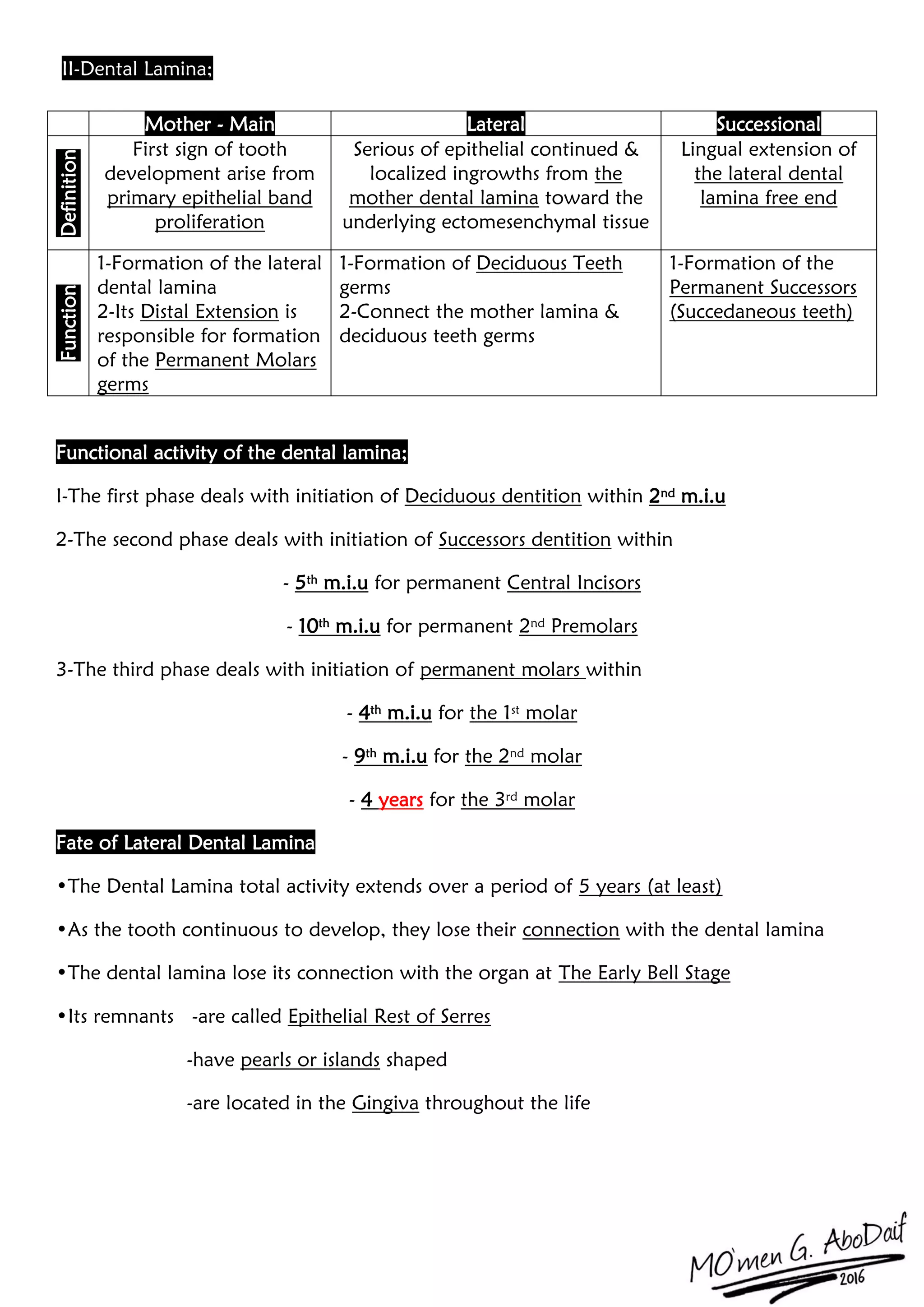 Tooth development | PDF