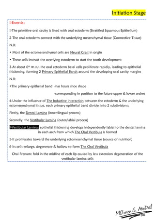 Tooth development | PDF